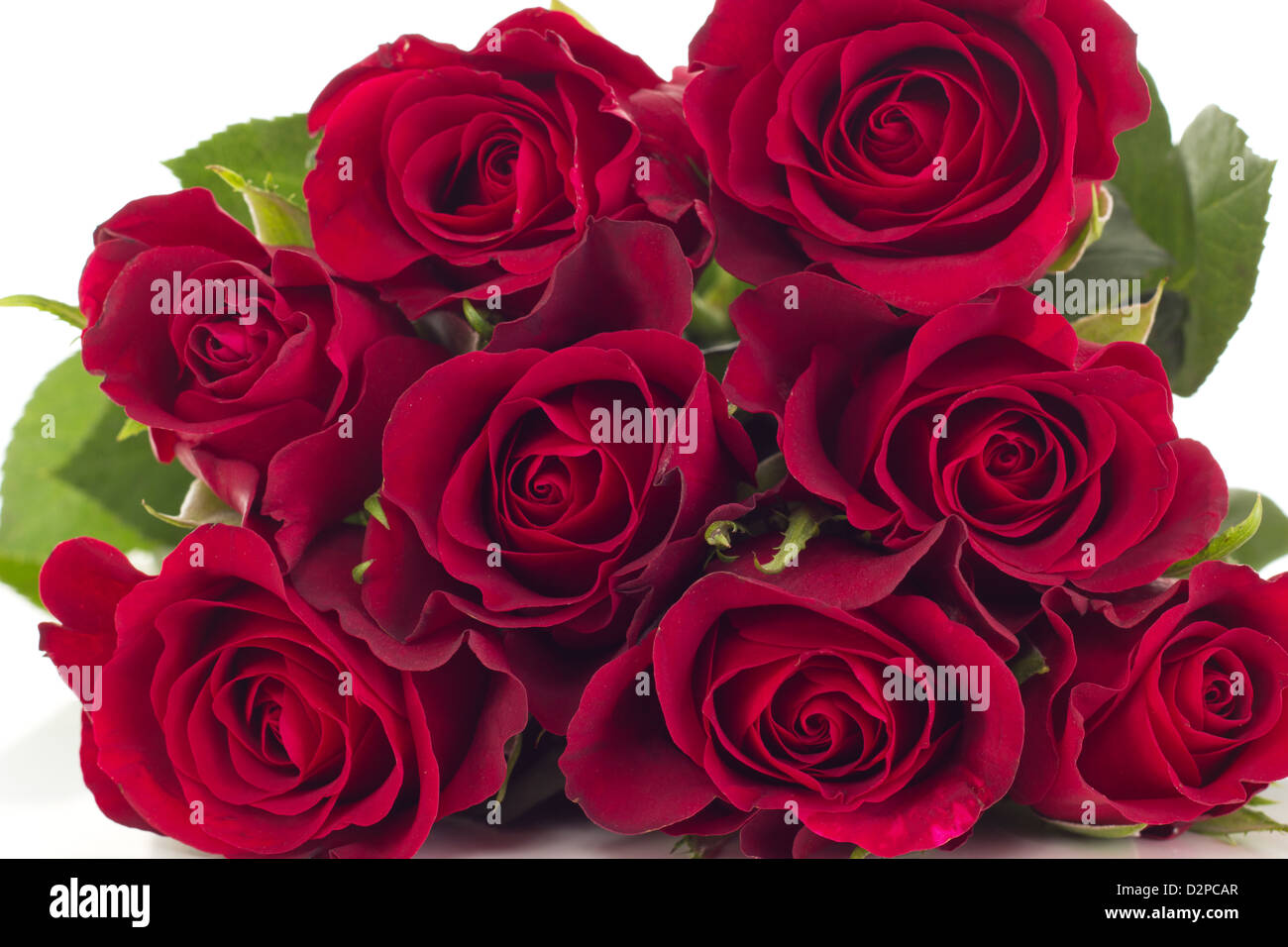 Bunch of roses Stock Photo - Alamy