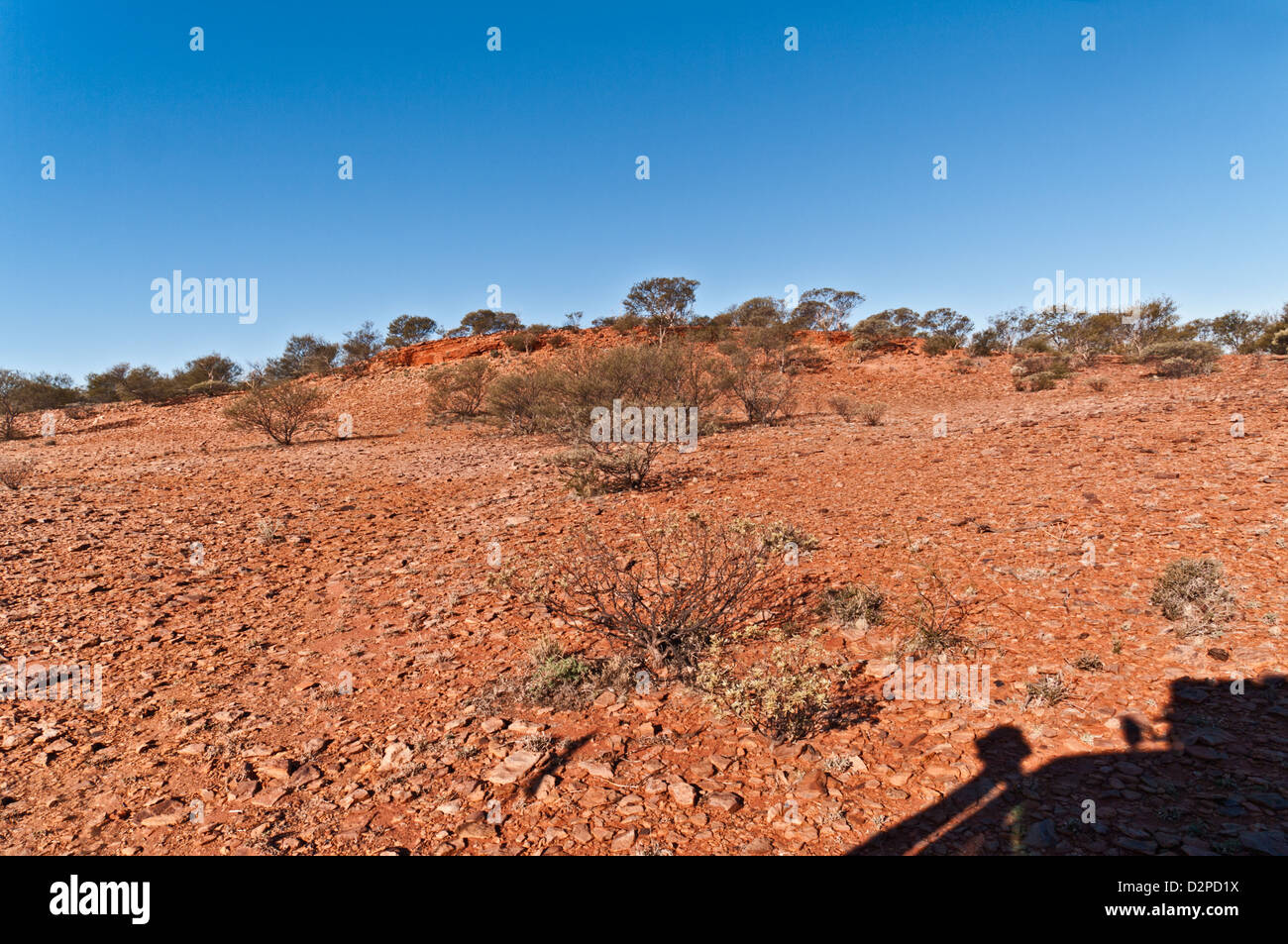 CANNING STOCK ROUTE, WESTERN AUSTRALIA, AUSTRALIA Stock Photo - Alamy