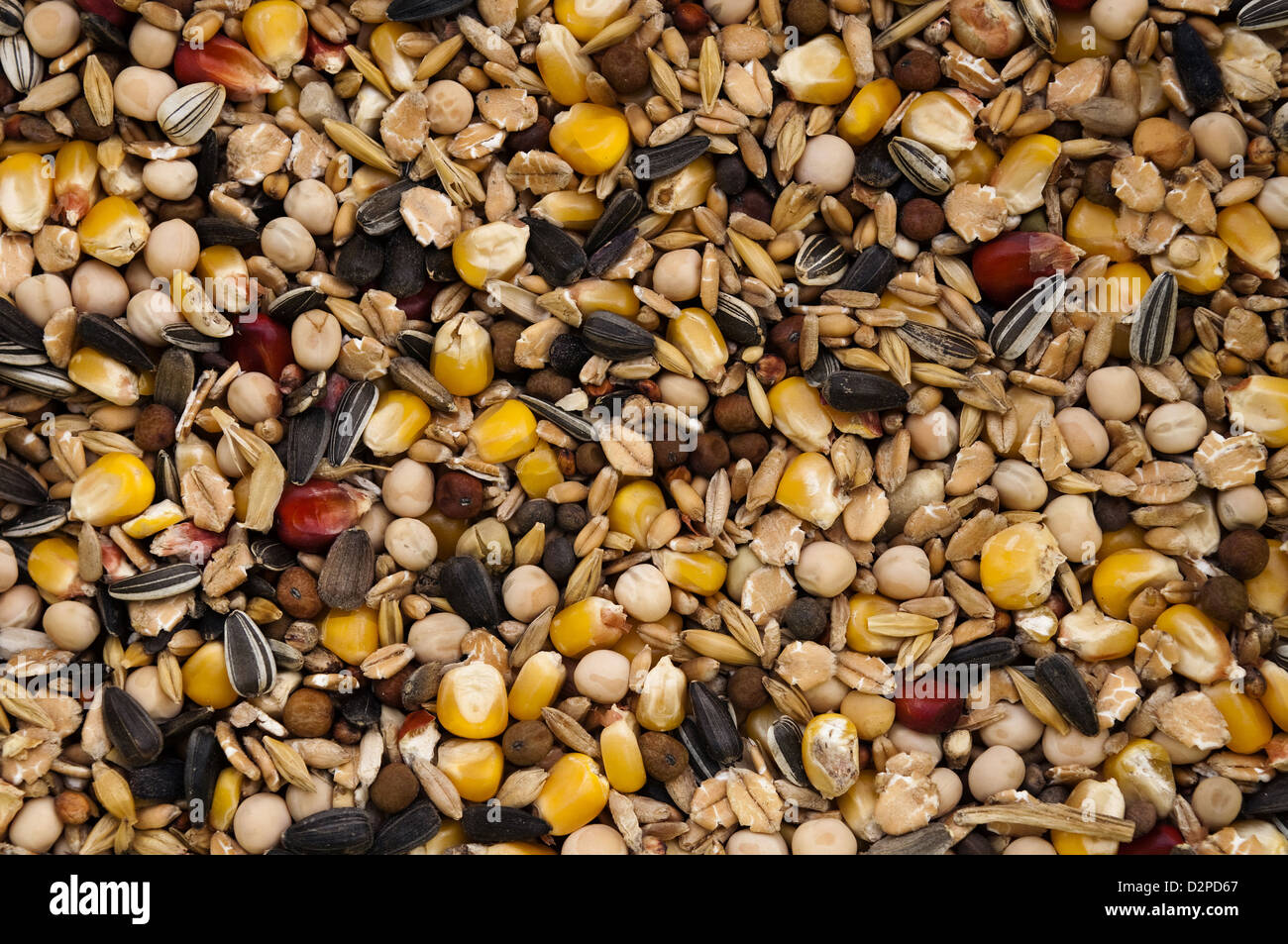 sorted food for the birds in the background Stock Photo - Alamy