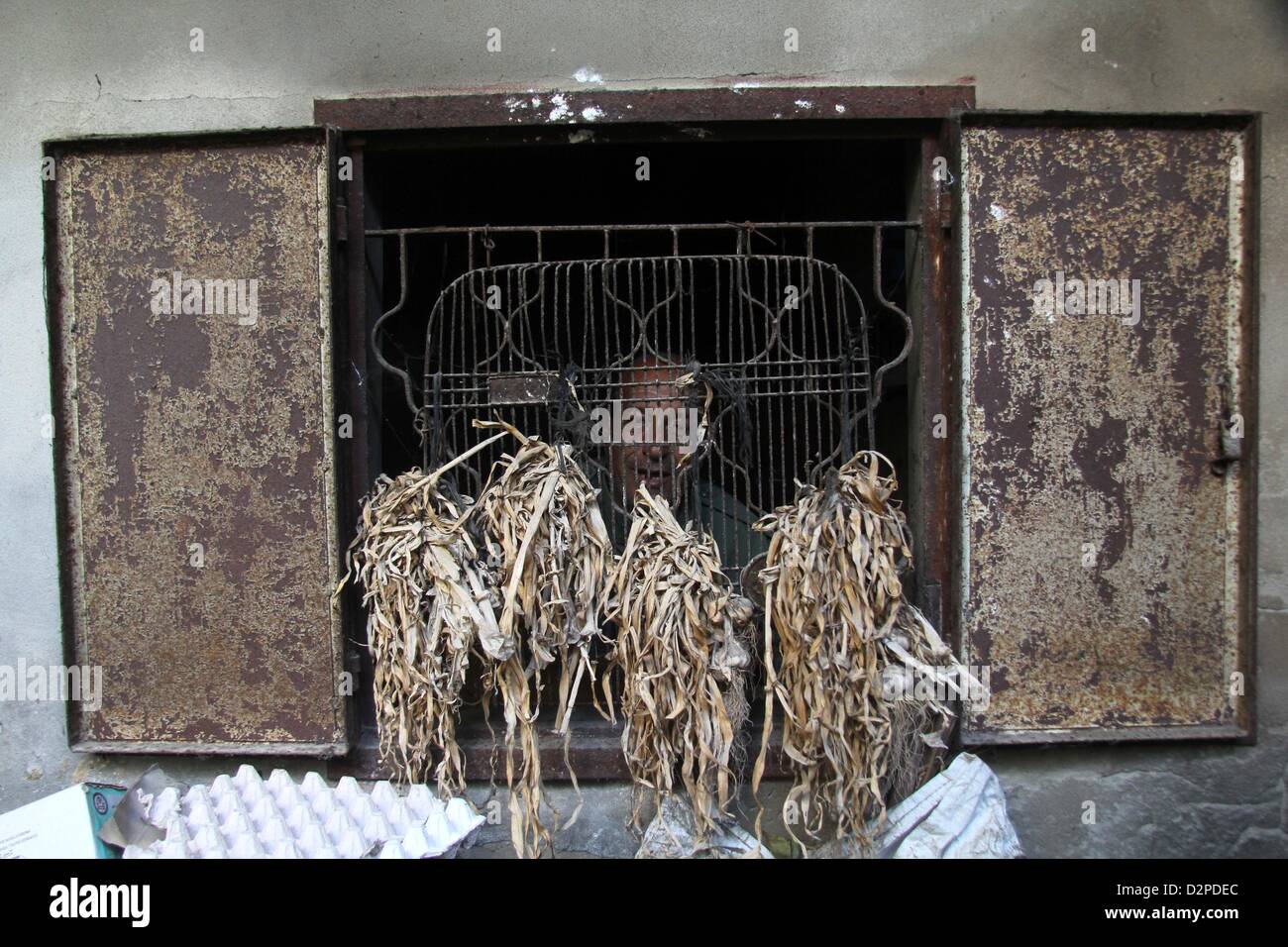 Jan. 30, 2013 - Gaza City, Gaza Strip, Palestinian Territory ...