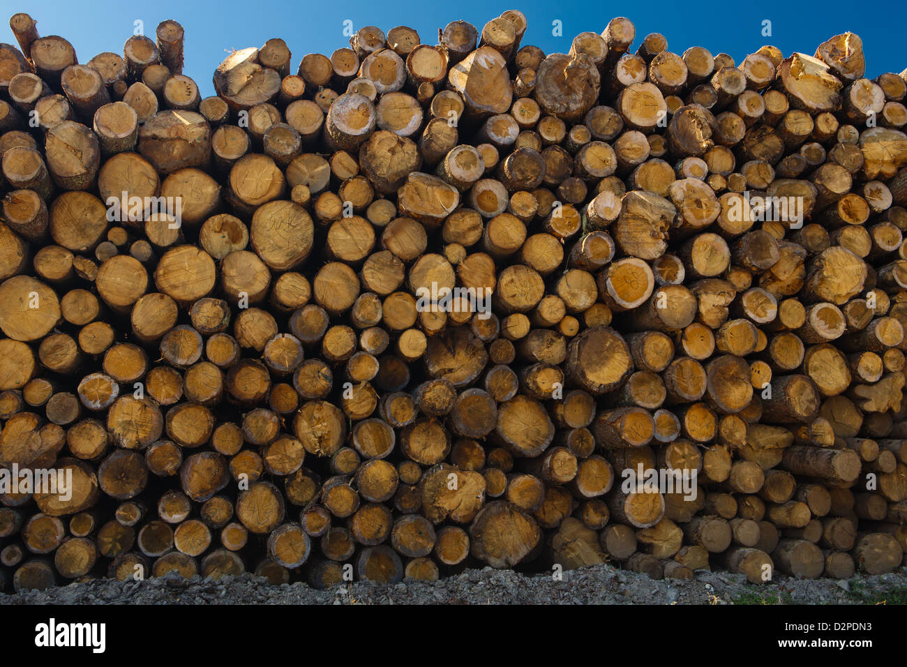 Stack of logs prepared for a cutting on firewood Stock Photo - Alamy