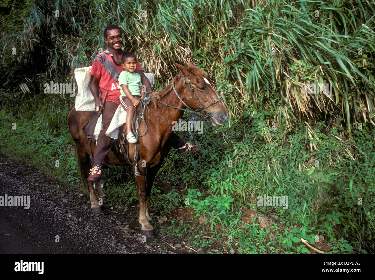 Father horse hi-res stock photography and images - Alamy