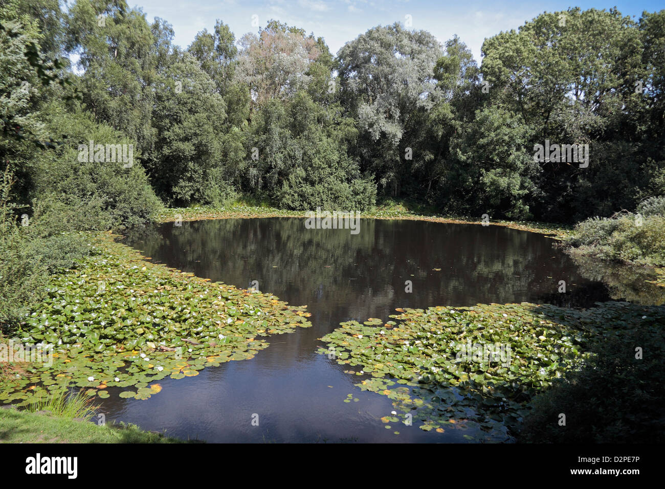 Messines crater hi-res stock photography and images - Alamy