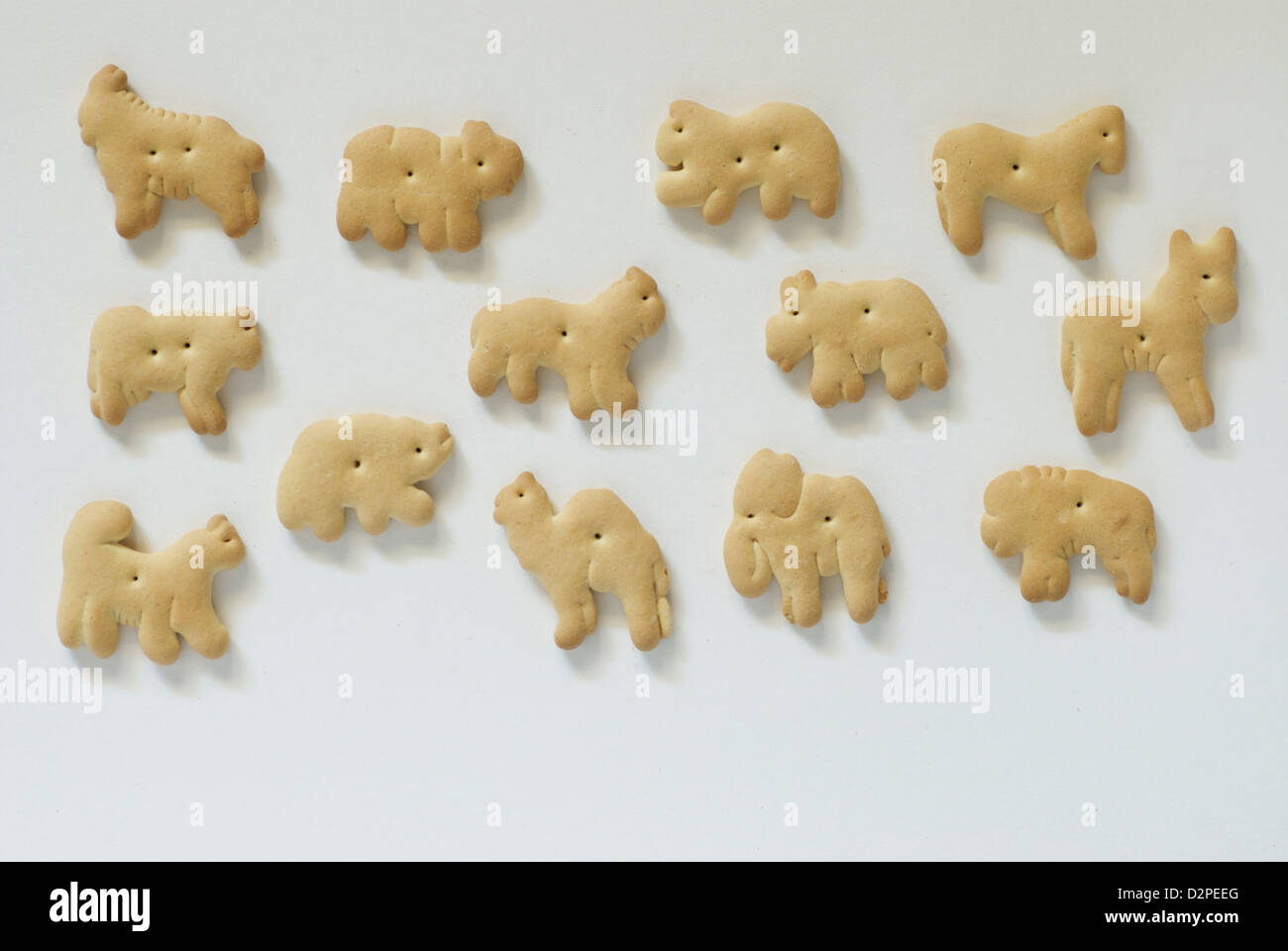 Animal Crackers arranged on a white background Stock Photo - Alamy