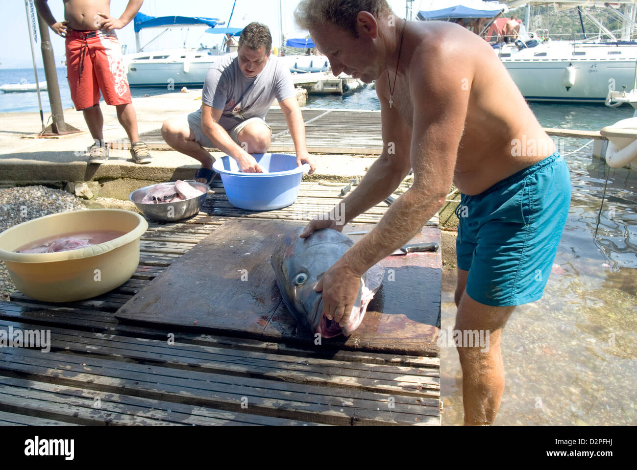 Preparing White Meat Tuna Albacore fish for cooking outdoors being ...