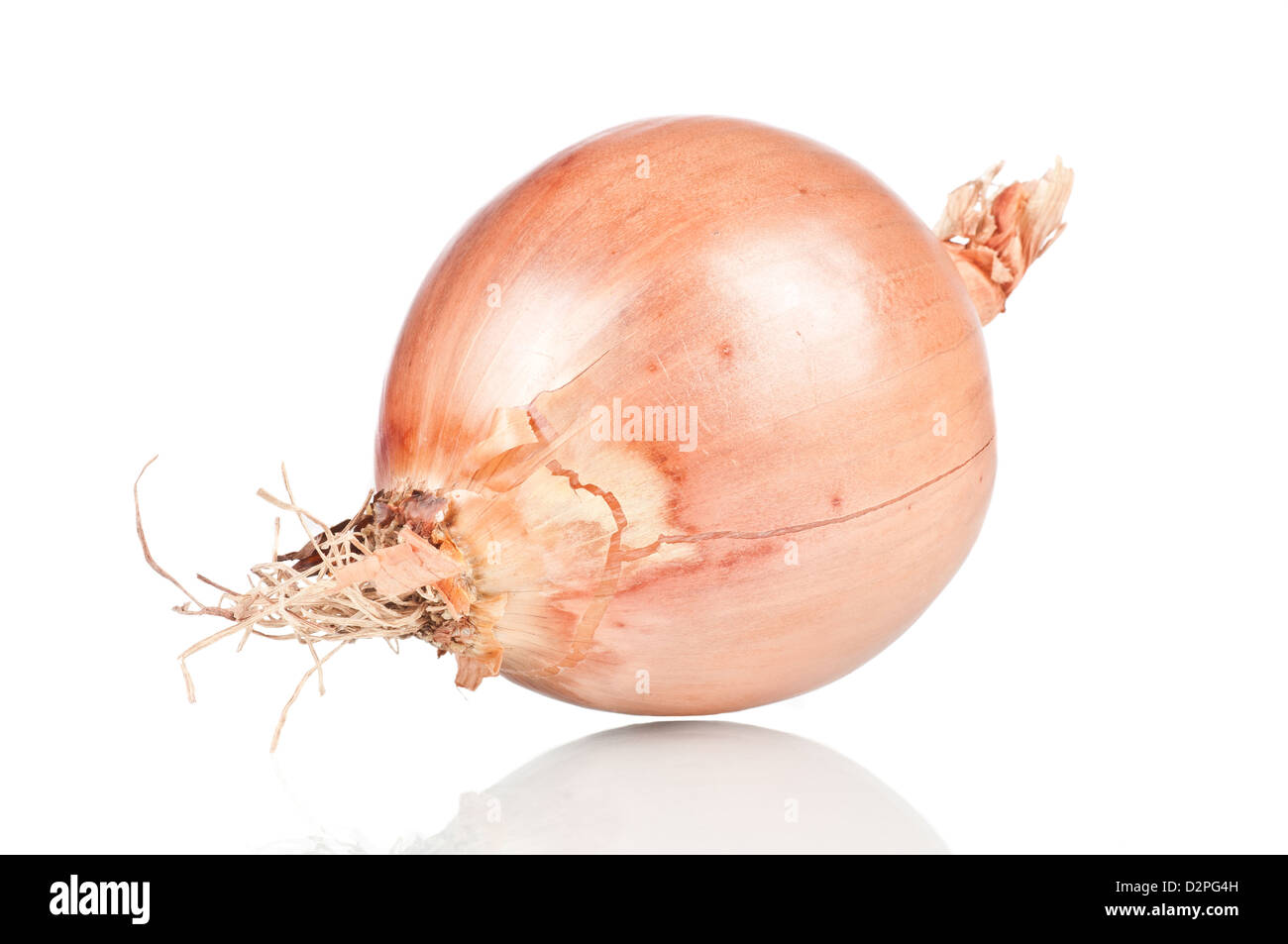 Skin of onion hi-res stock photography and images - Alamy