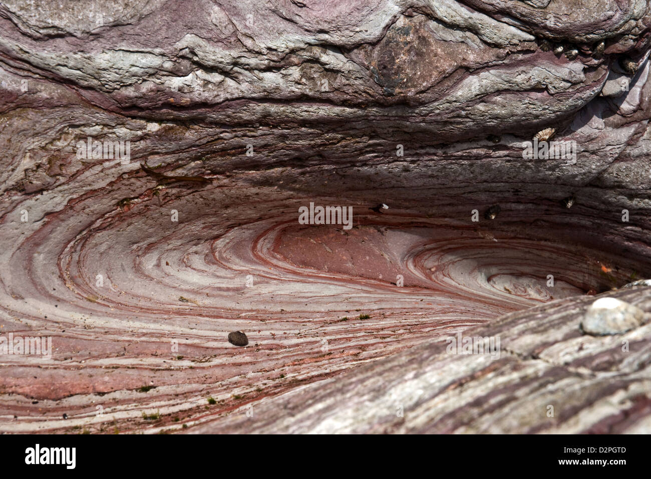 Siwrling pattern hi-res stock photography and images - Alamy