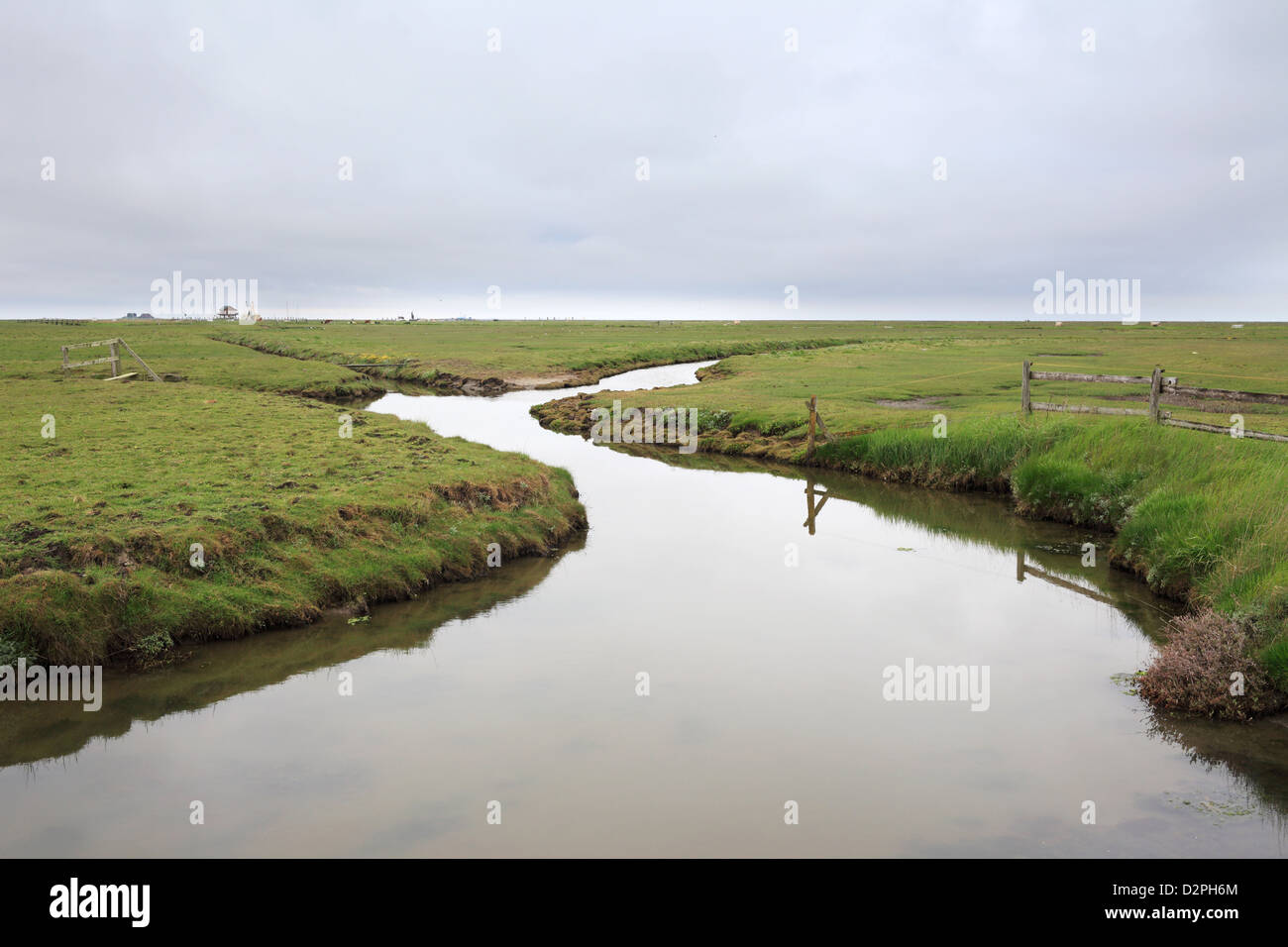 Hallig Hooge, Germany, tidal creek and pastures Stock Photo - Alamy