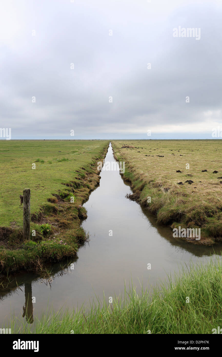 Hallig Hooge, Germany, channel between pastures Stock Photo - Alamy