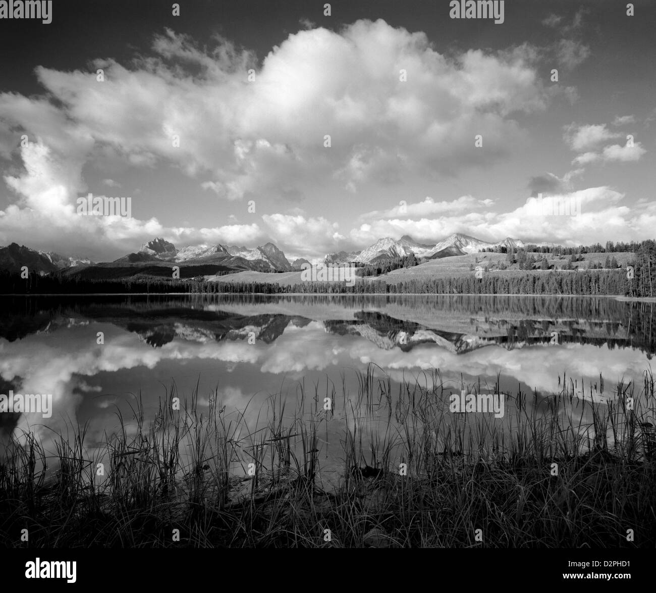 Little redfish Black and White Stock Photos & Images - Alamy