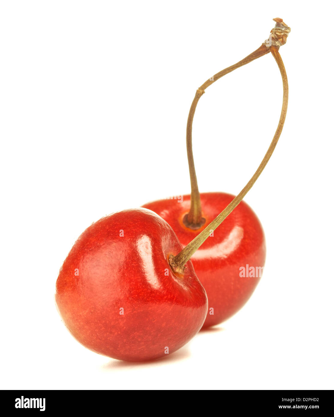fresh pink cherries with stem isolated on white Stock Photo - Alamy