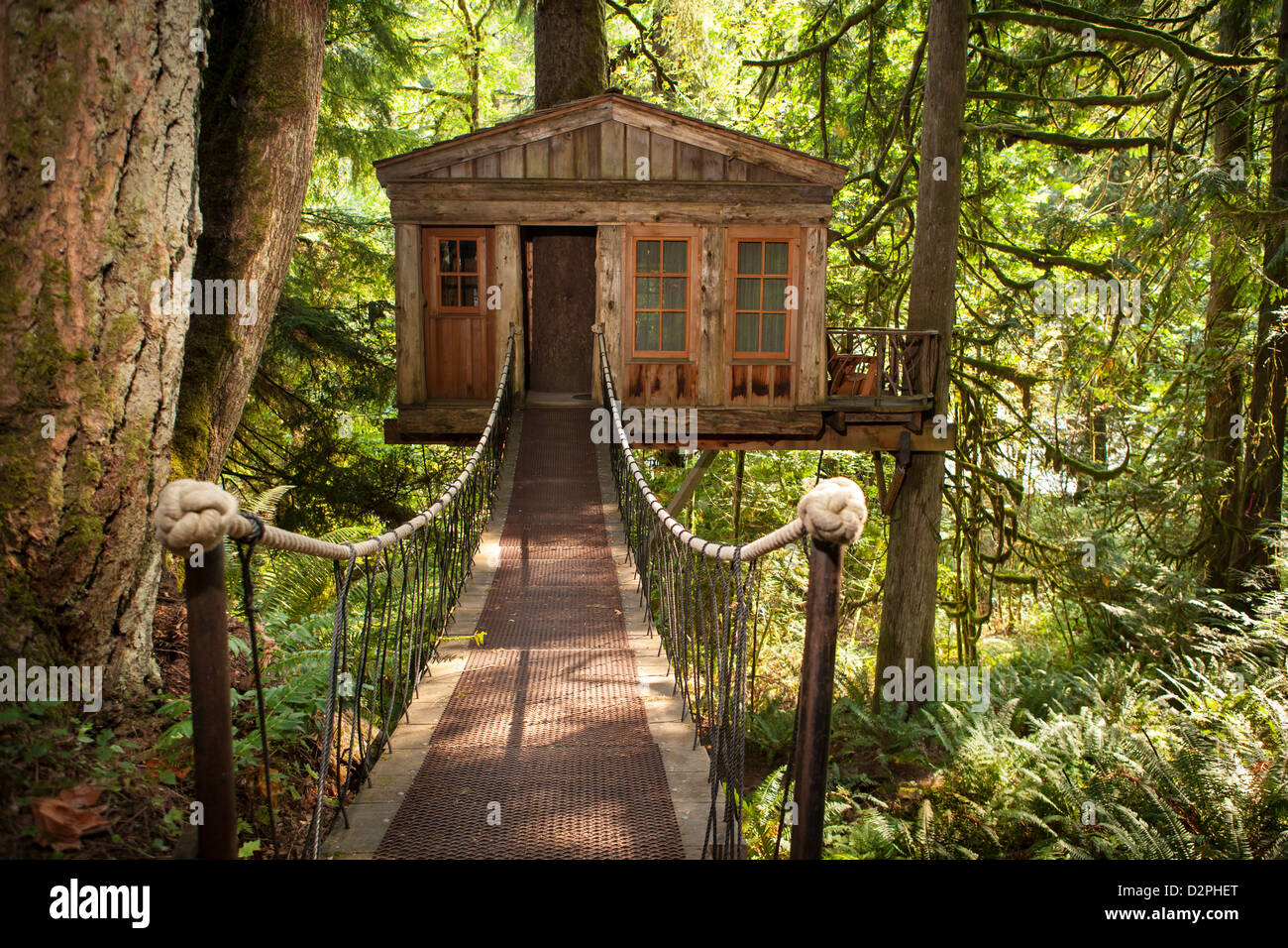 Walkway to remote tree house Stock Photo - Alamy