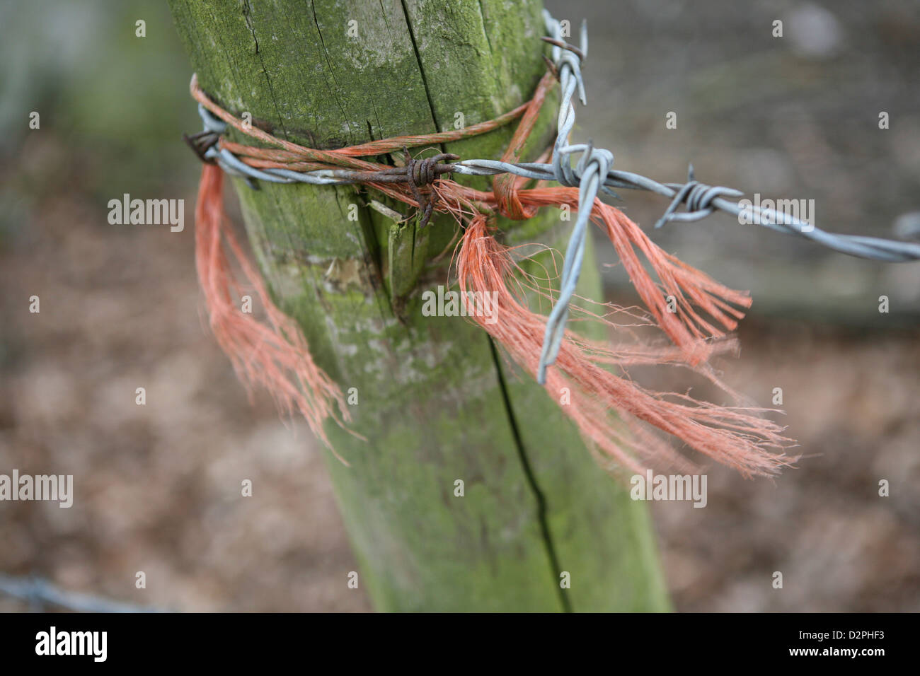 String barbed wire hi-res stock photography and images - Alamy