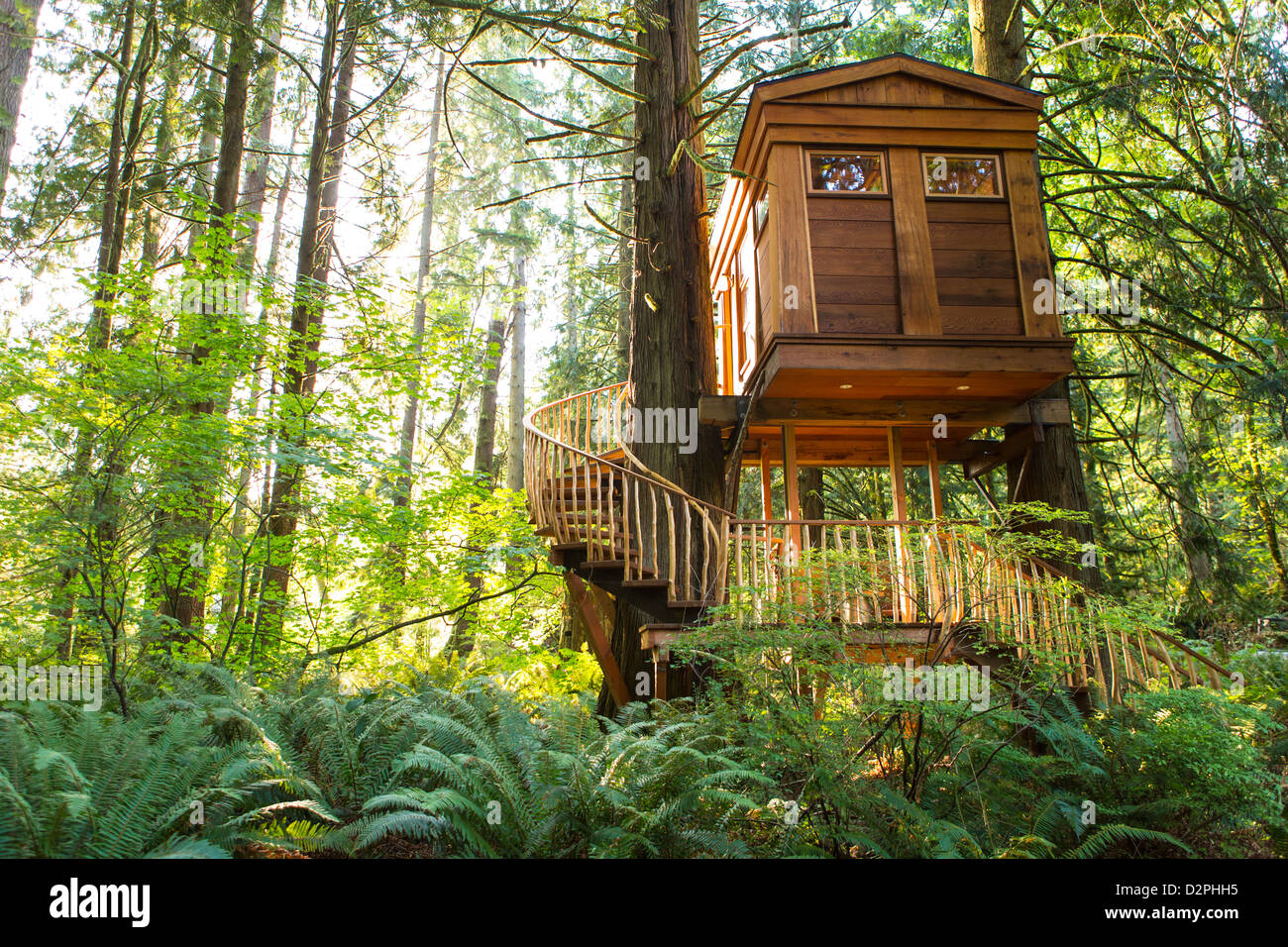 Remote tree house in forest Stock Photo - Alamy