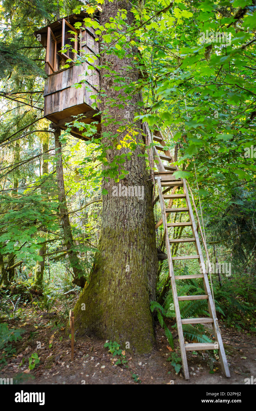 Treehouse Point High Resolution Stock Photography and Images - Alamy