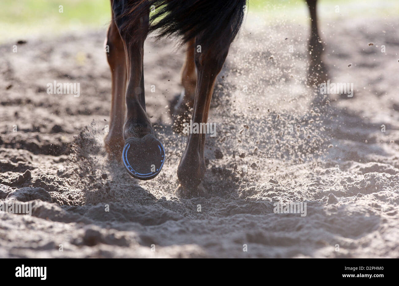 Galloping horse hooves hi-res stock photography and images - Alamy