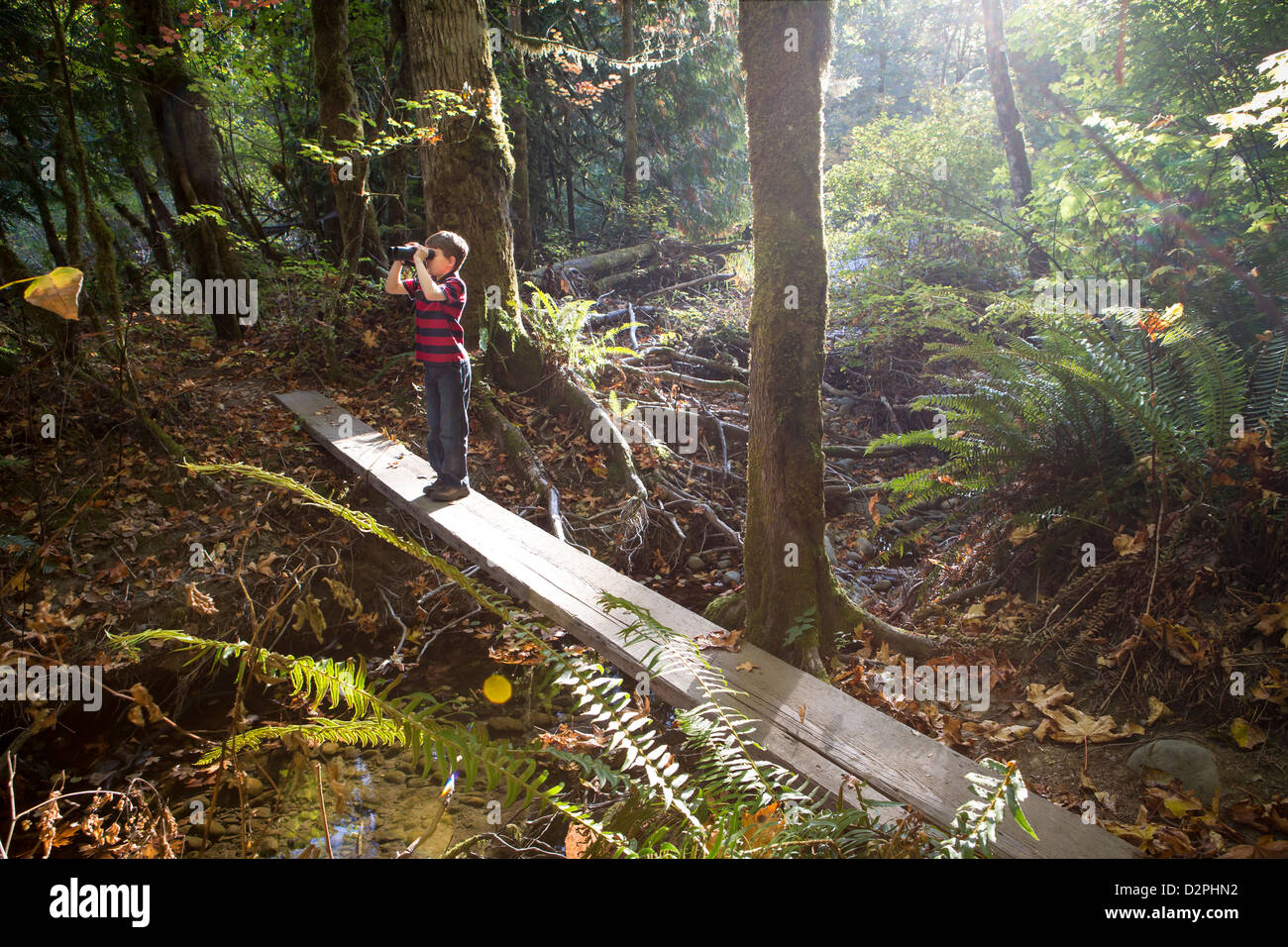 Boy at bridge hi-res stock photography and images - Alamy