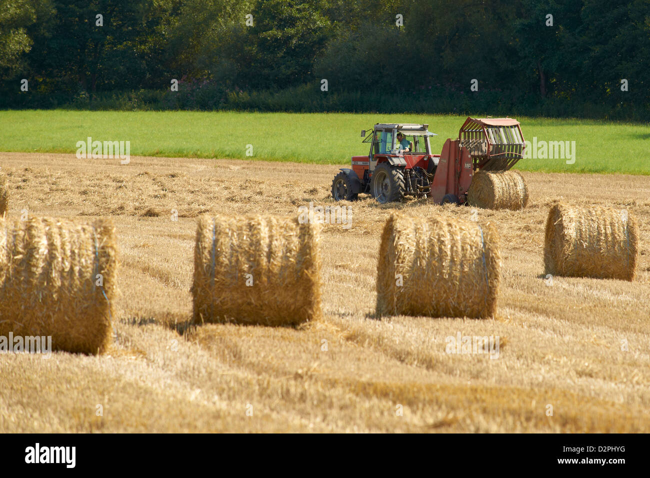 Straw making hi-res stock photography and images - Alamy