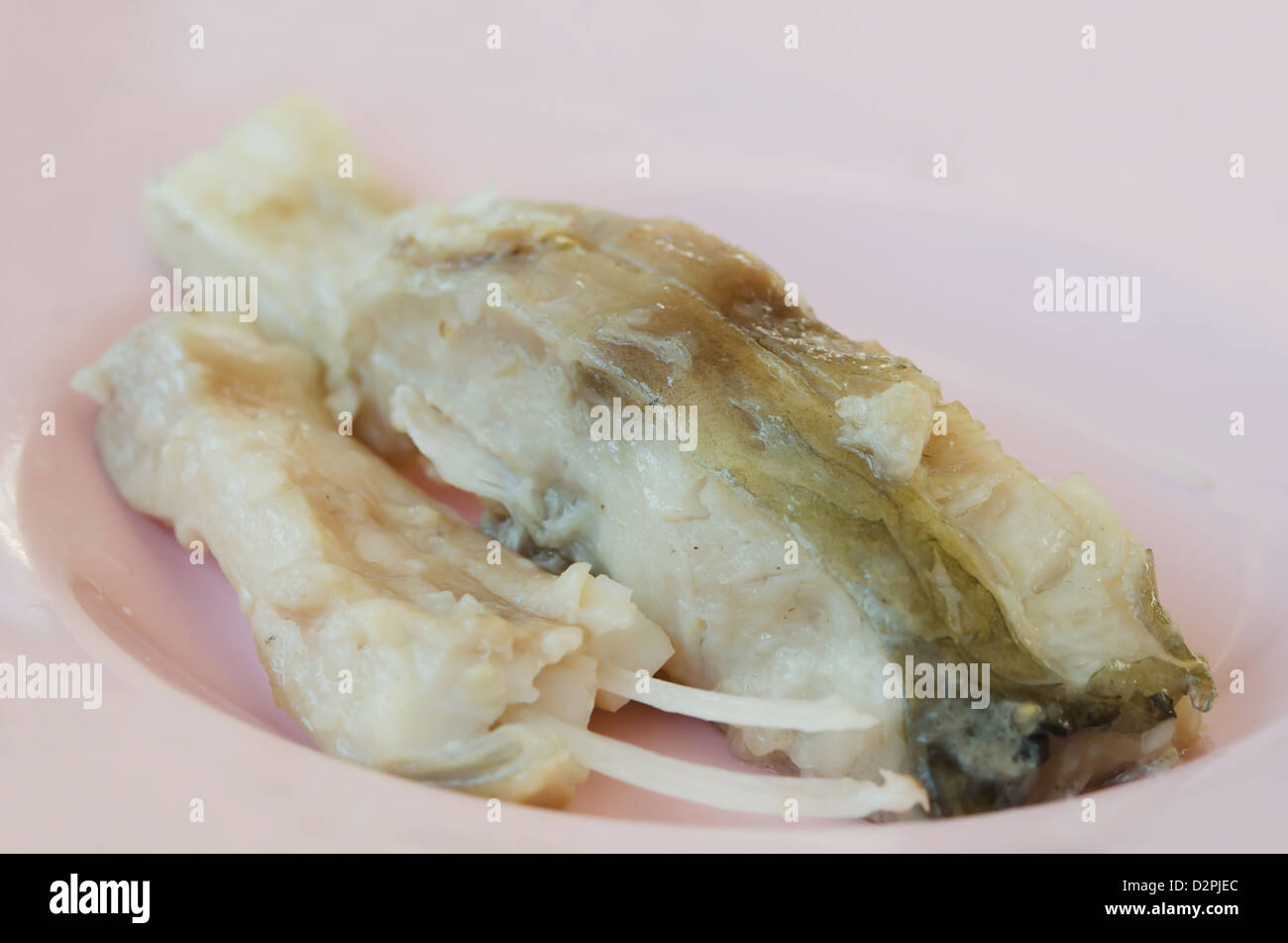 Pink fish hi-res stock photography and images - Alamy