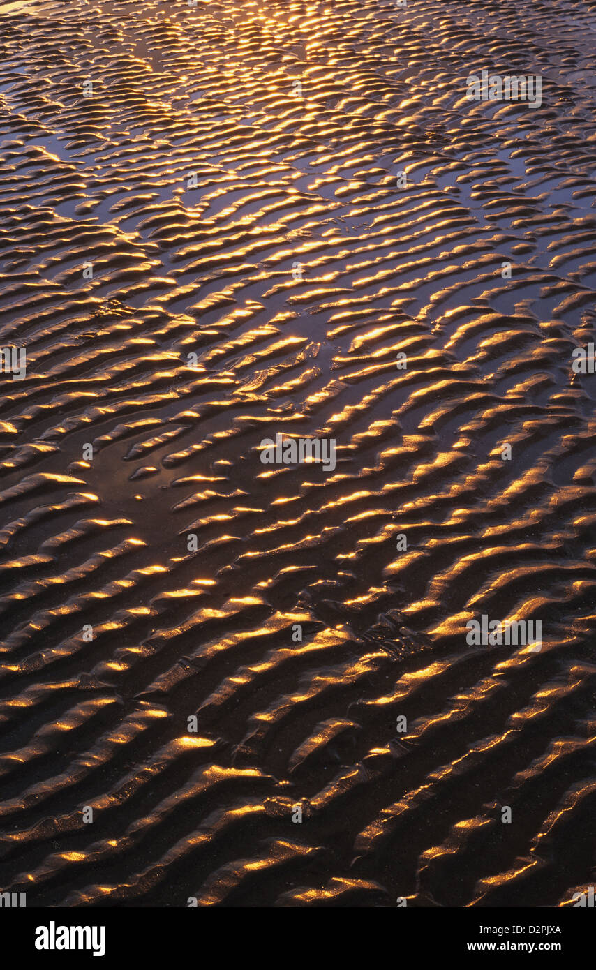 Sand ripples at low tide being caught by the sun Stock Photo - Alamy