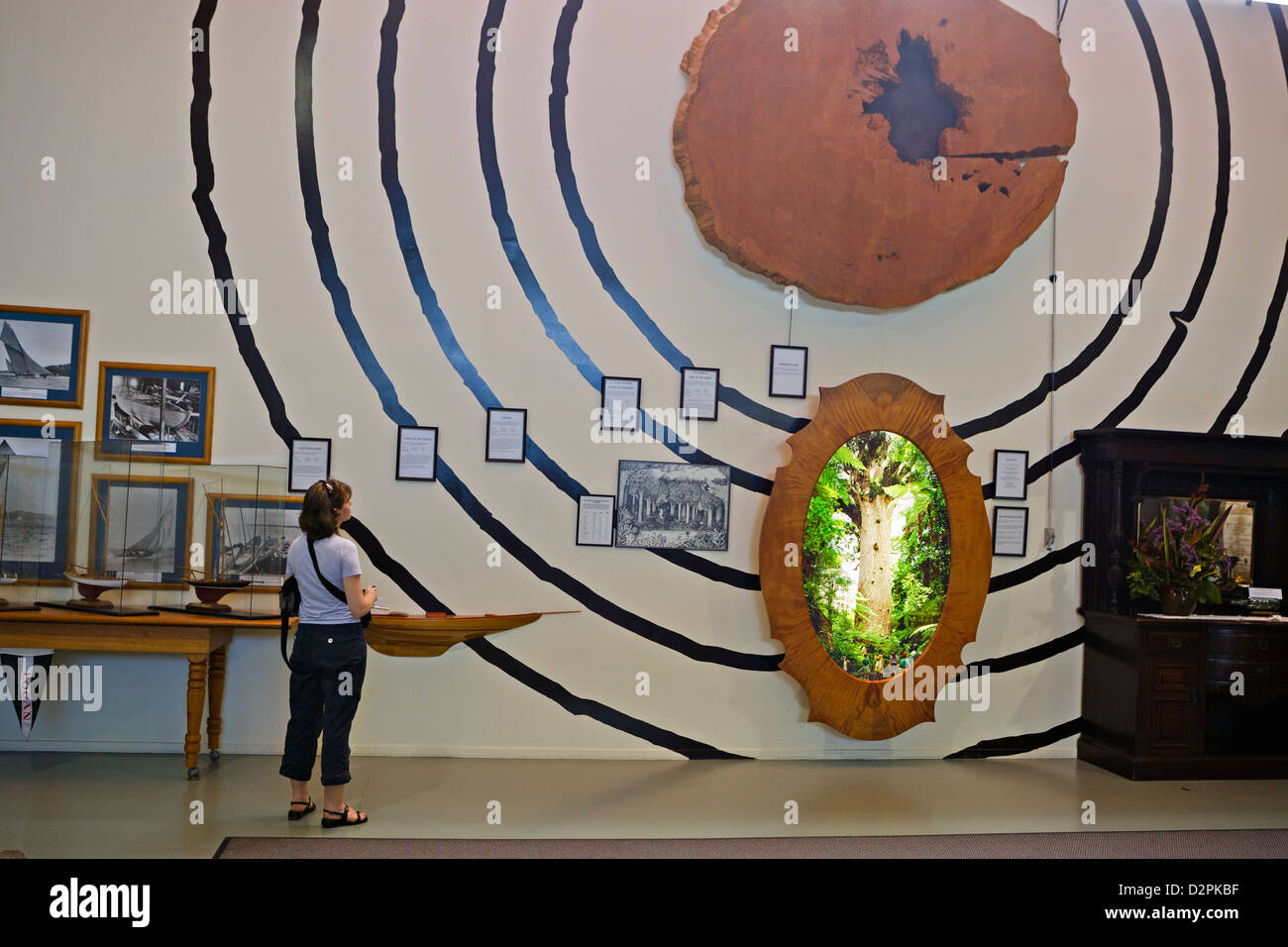 Wall display showing the size ad ages of Kauri trees, Matakohe Kauri ...