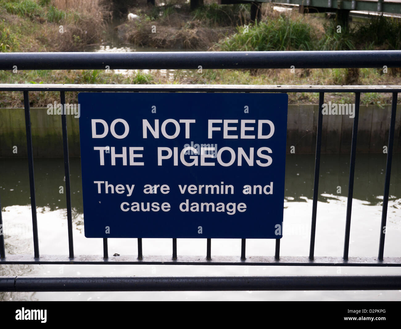 A sign warning against feeding pigeons in Kingston, London, because ...