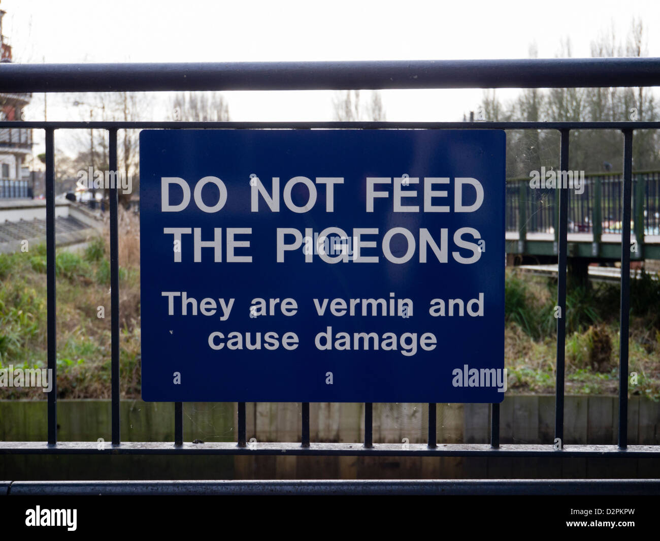 A sign warning against feeding pigeons in Kingston, London, because ...