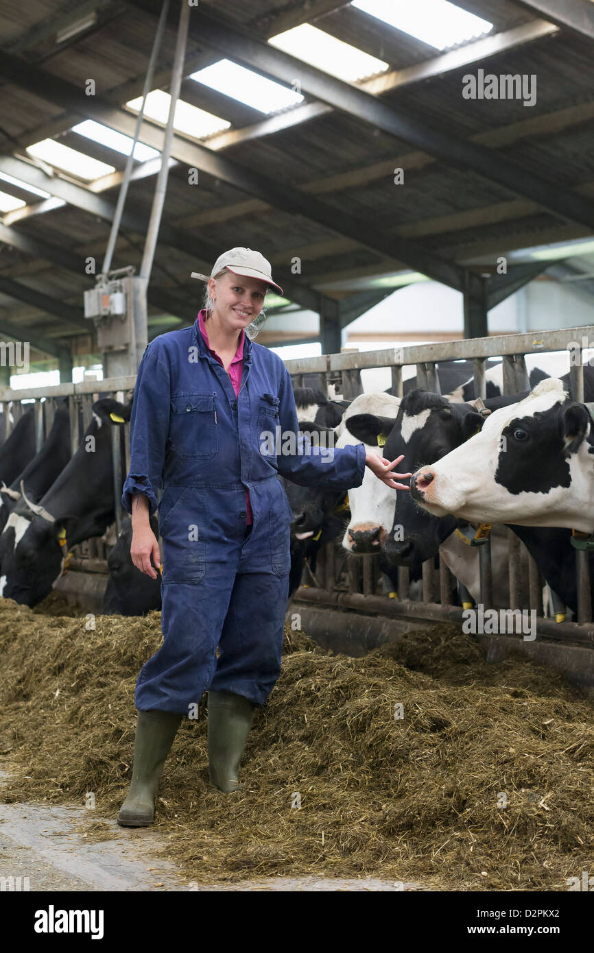 Woman milking cows dairy farm hi-res stock photography and images - Alamy