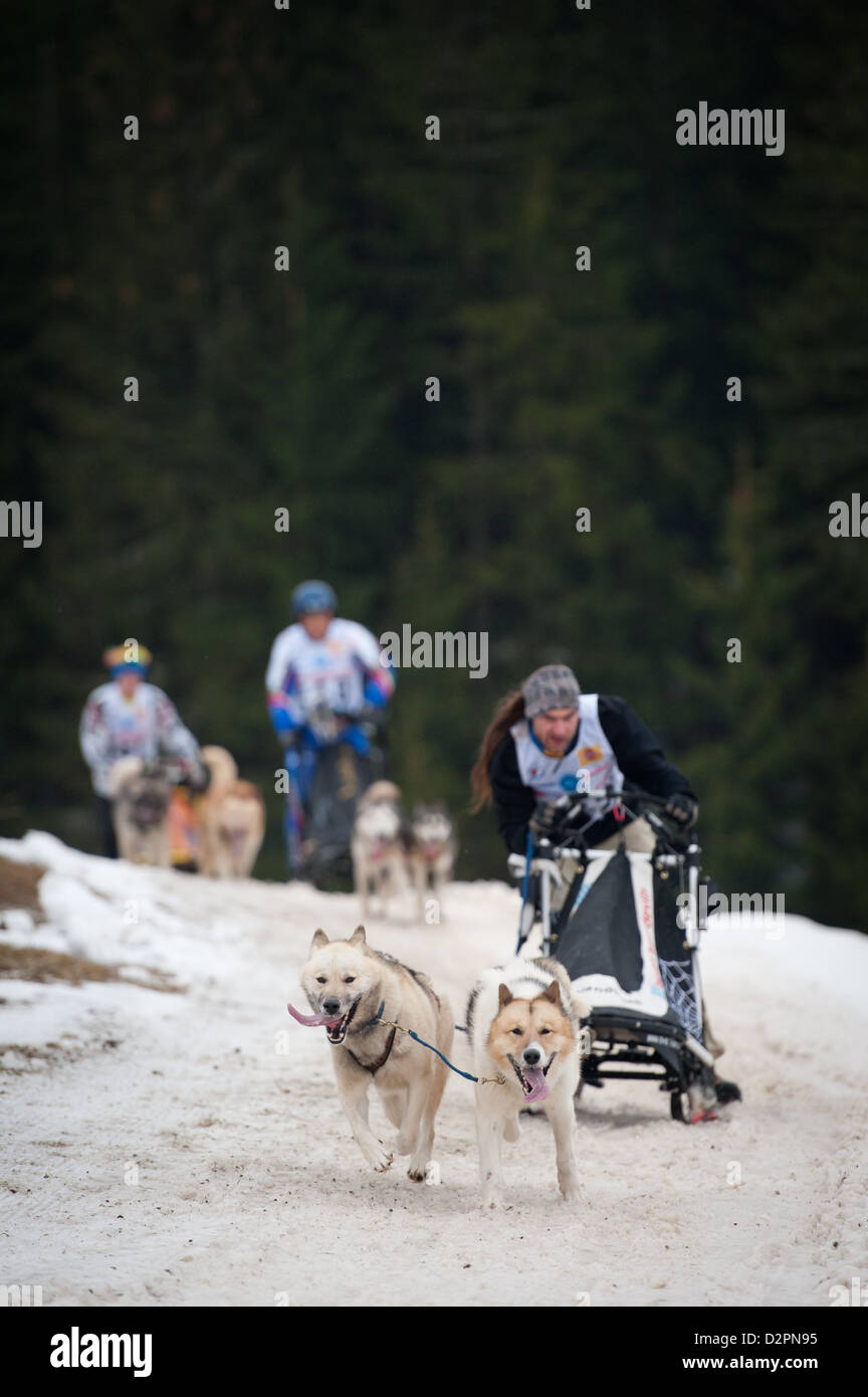 Sleigh racing hi-res stock photography and images - Alamy