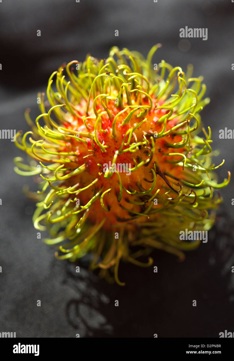 Close up of rambutan hi-res stock photography and images - Alamy