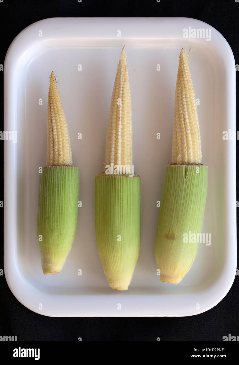 Baby or Mini Sweet Corn Stock Photo - Alamy