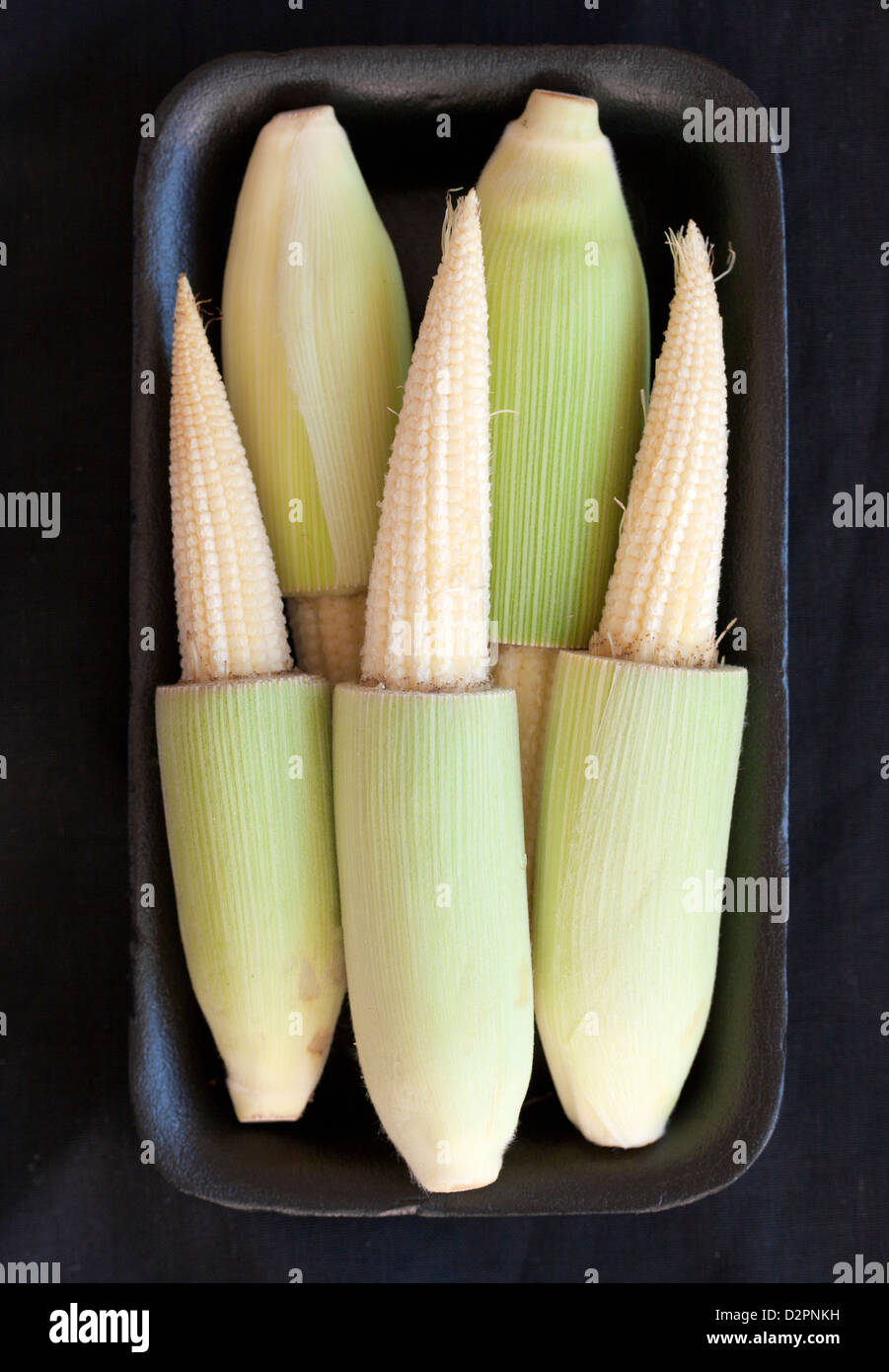 Baby or Mini Sweet Corn on black background Stock Photo - Alamy