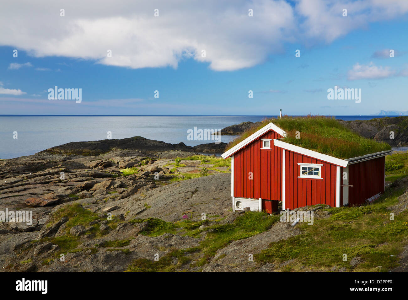 Traditional norwegian red hut with green roof on coast of Lofoten ...