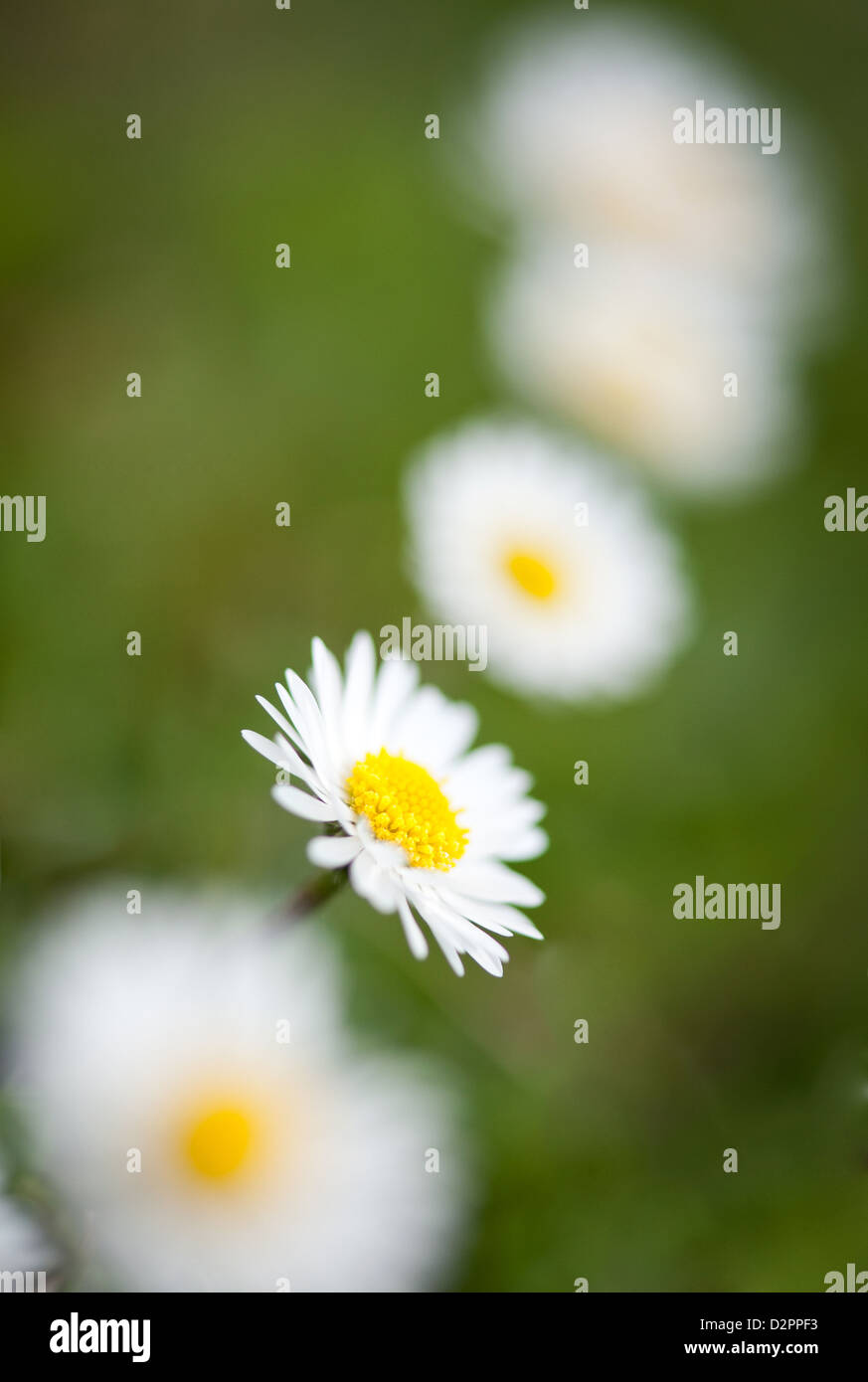 Shallow line hi-res stock photography and images - Alamy