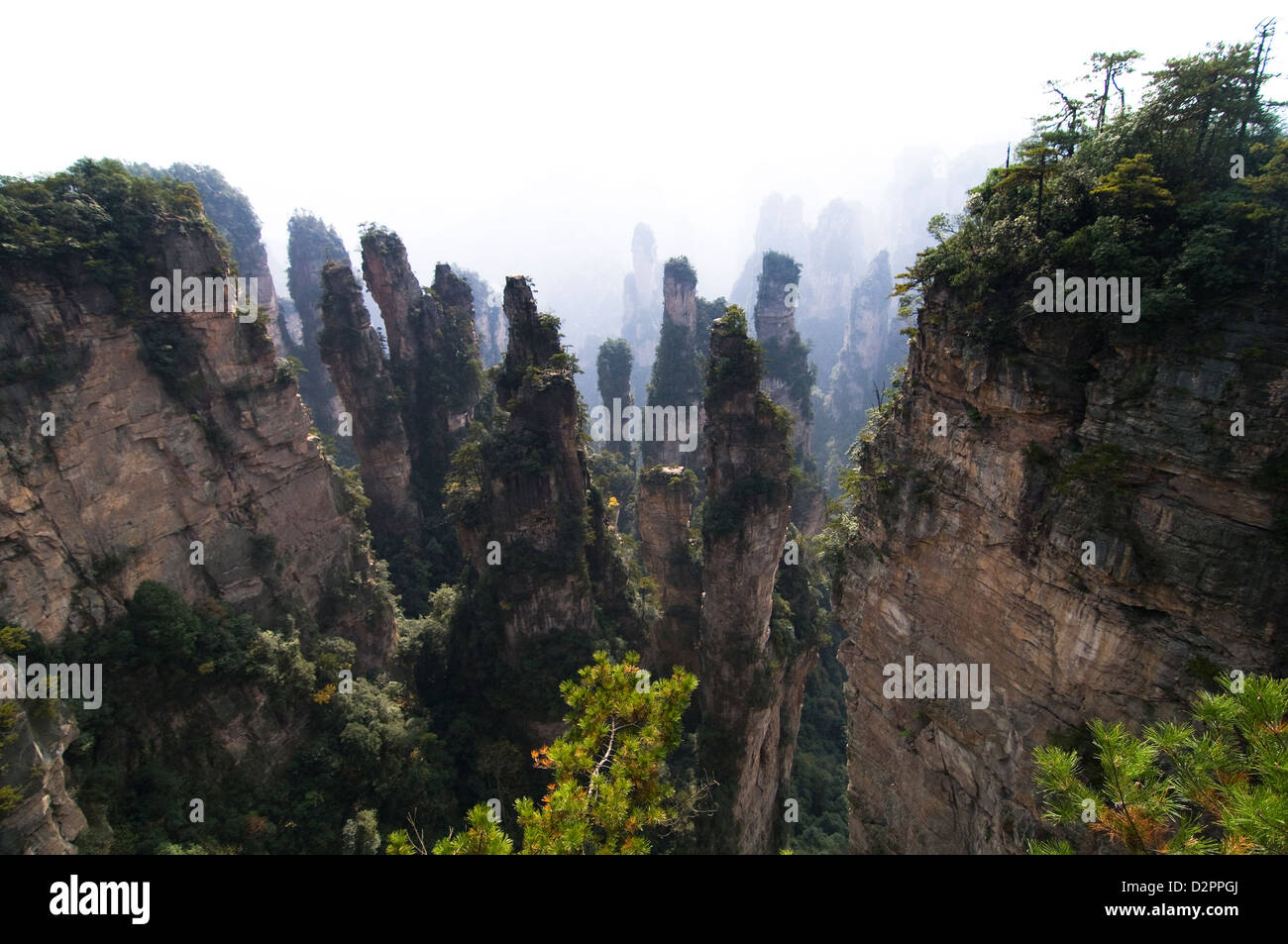 Dramatic scenery at Zhangjiajie National Forest Park in Hunan Stock ...