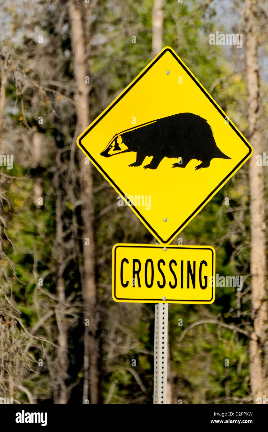 Badger crossing sign warning hi-res stock photography and images - Alamy