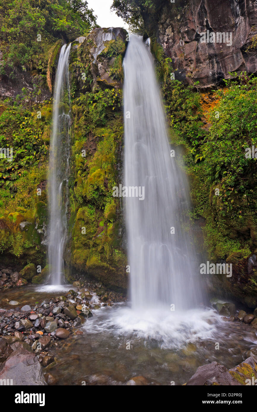 Dawson Falls and Kapuni Stream seen along the Kapuni Loop Track, Egmont ...