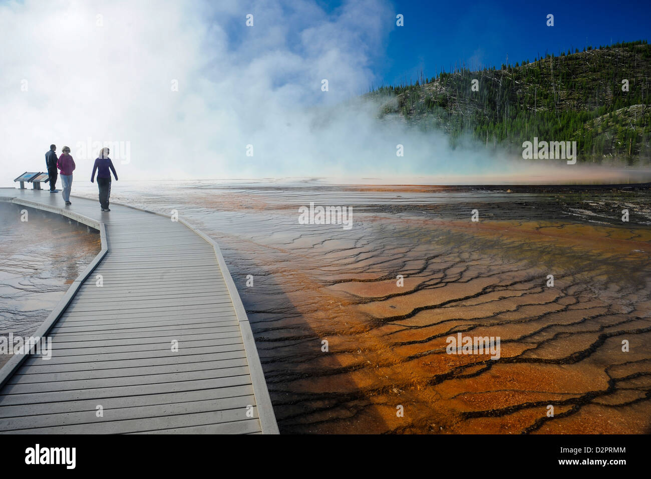 Boardwalk around Grand Prismatic Springs in Yellowstone National Park ...