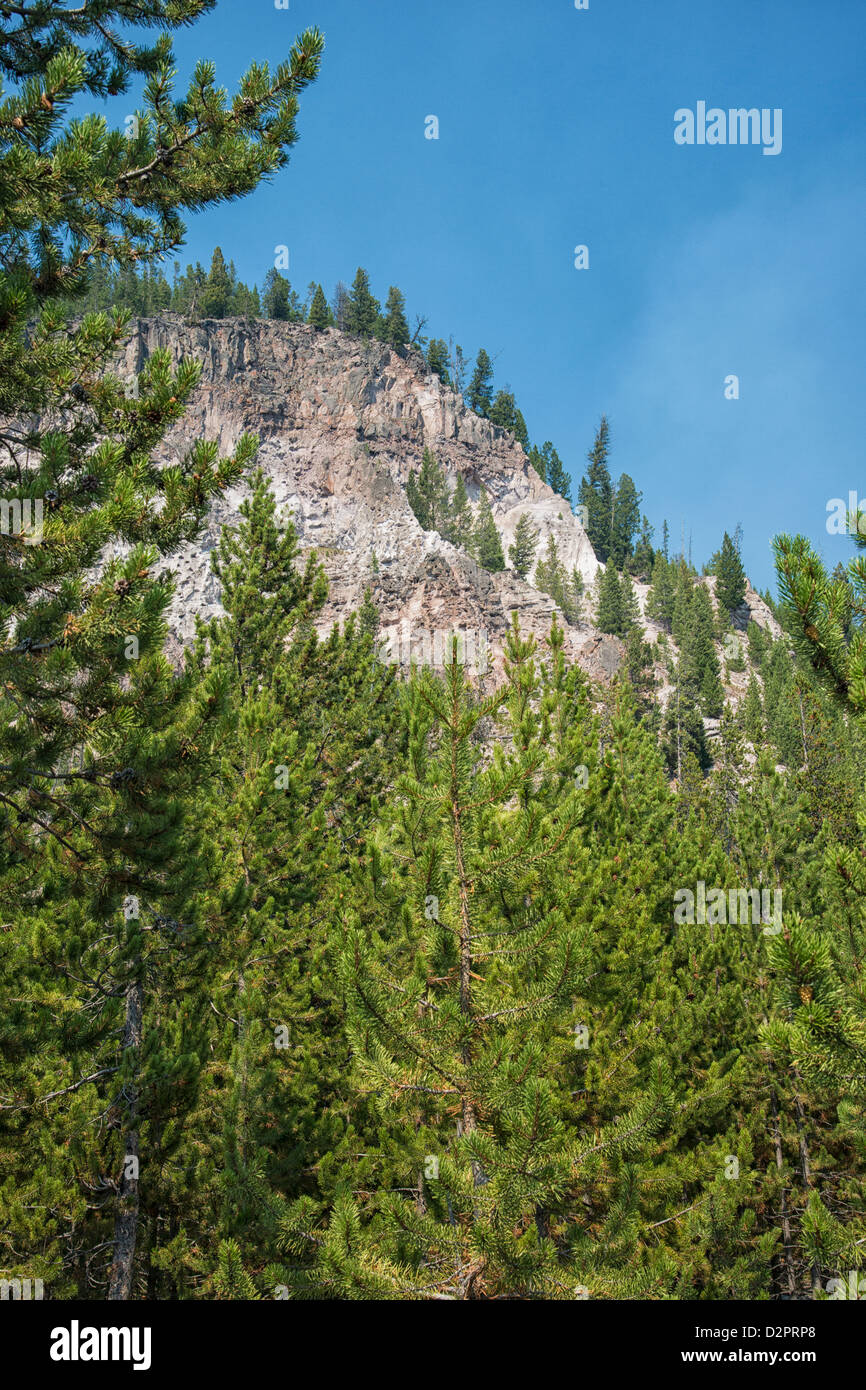 Tuff Cliff in Yellowstone National Park Stock Photo - Alamy