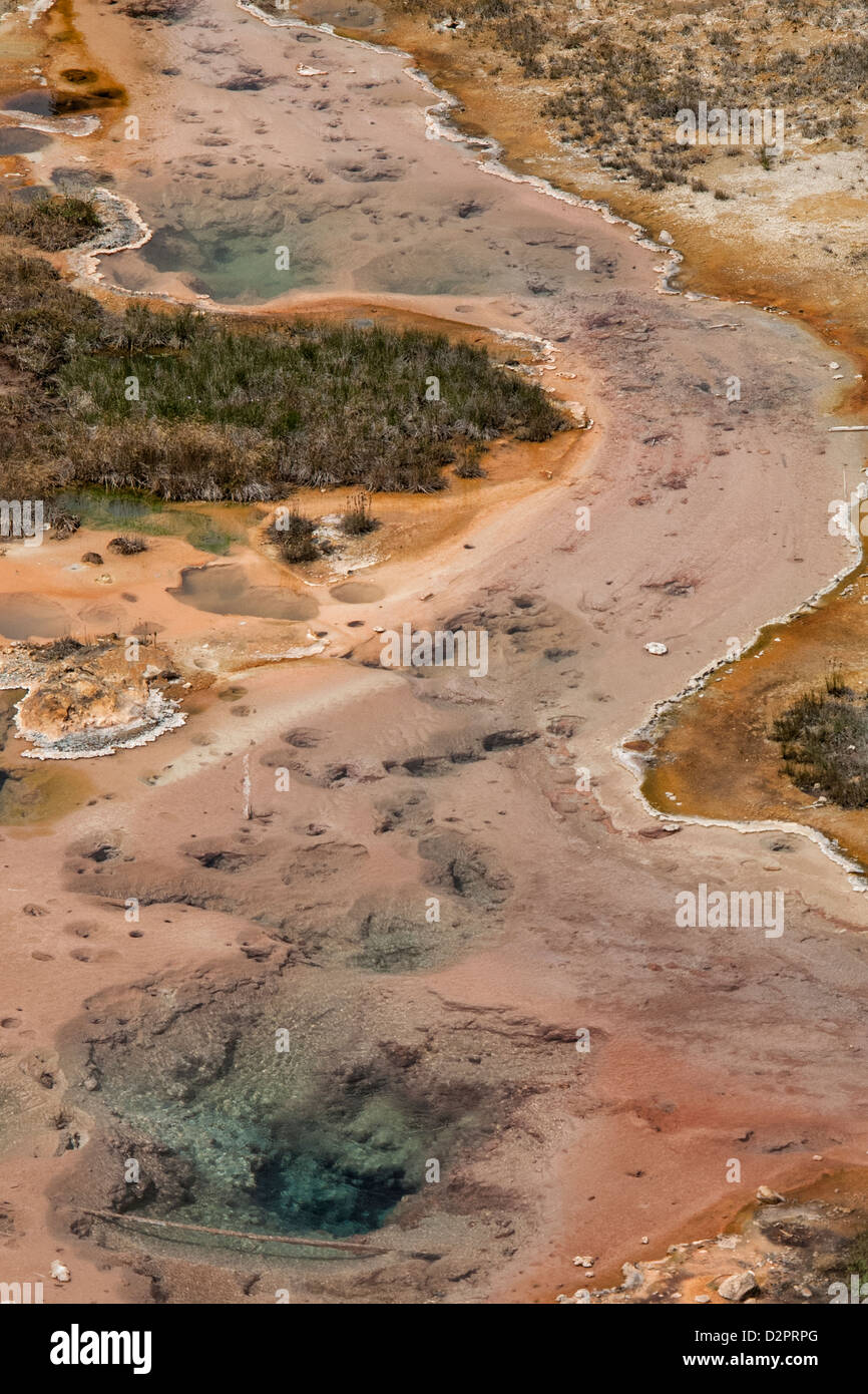 Overflow from thermal pools in Fountain Paint Pots area of Yellowstone ...