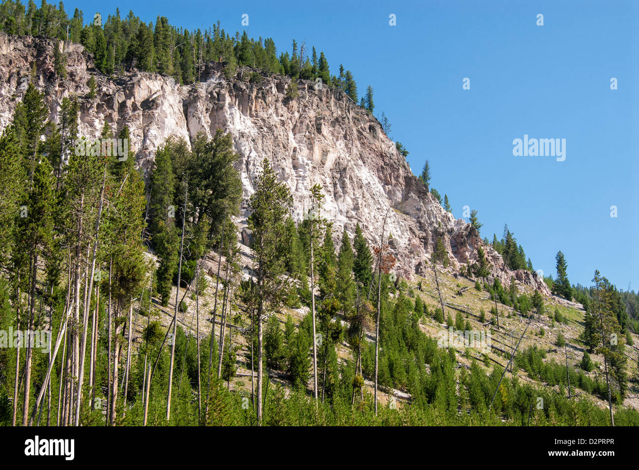 Tuff Cliff in Yellowstone National Park Stock Photo - Alamy