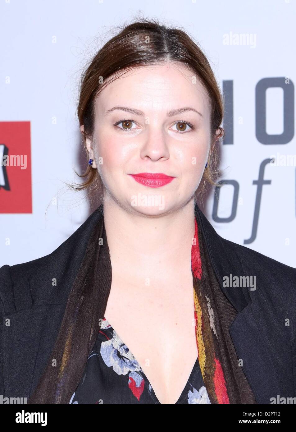New York, USA. 30th January 2013. Amber Tamblyn at arrivals for HOUSE ...