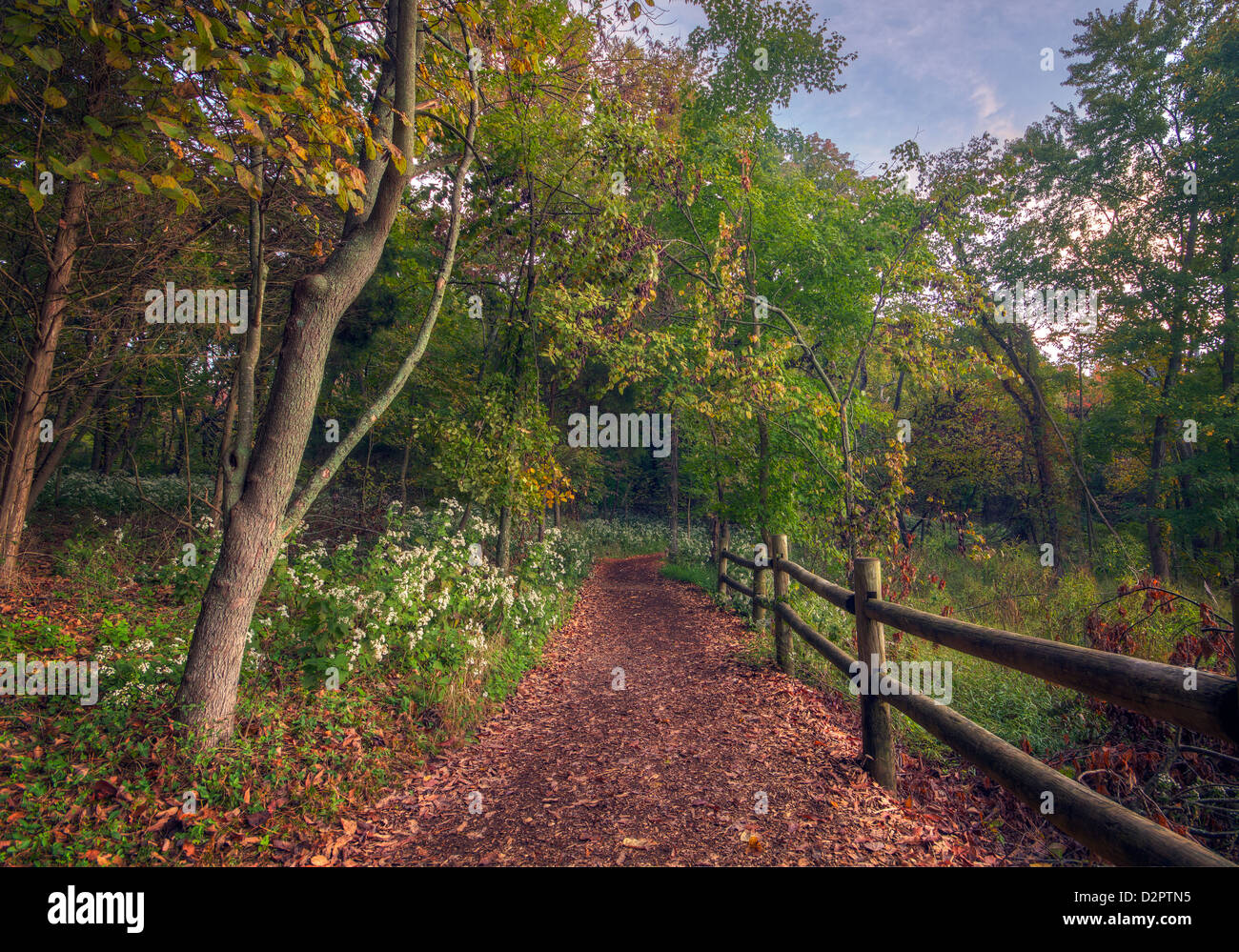 Beautiful scenic path leads through hi-res stock photography and images ...