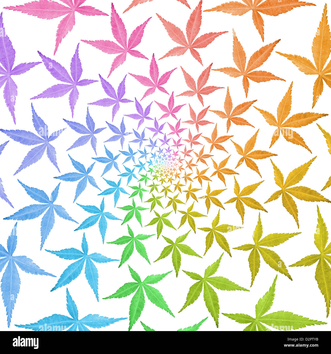 Swirl pattern of circle frames of colorful leaves isolated on white ...