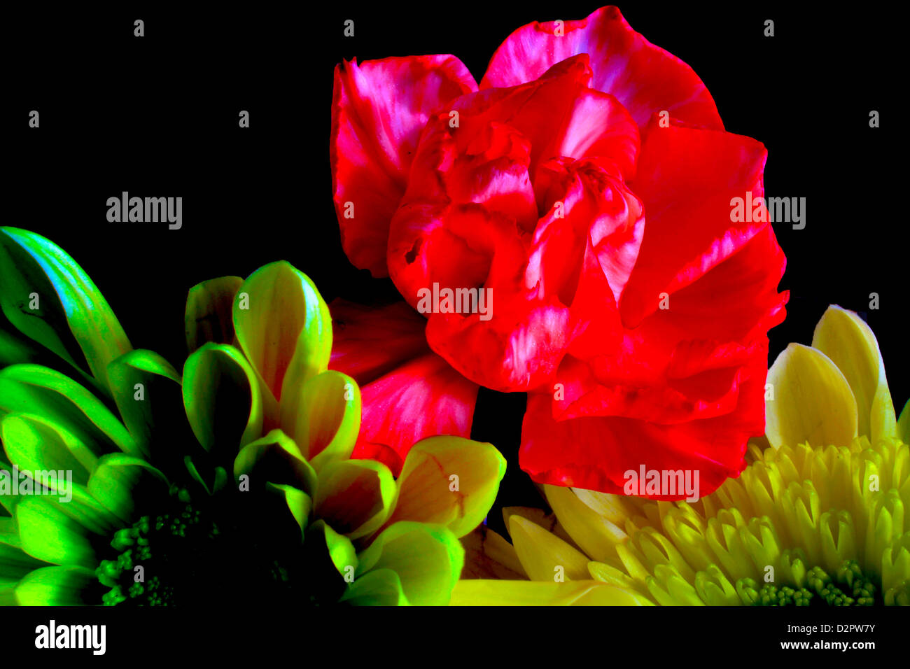 red and yellow fllower group Stock Photo - Alamy