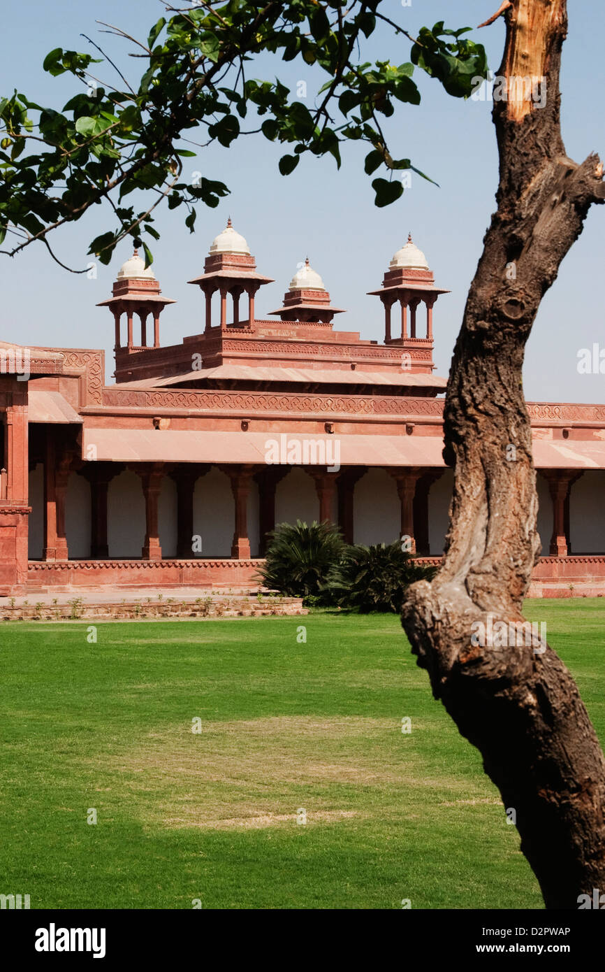 Tree in front of a palace, Fatehpur Sikri, Agra, Uttar Pradesh, India ...