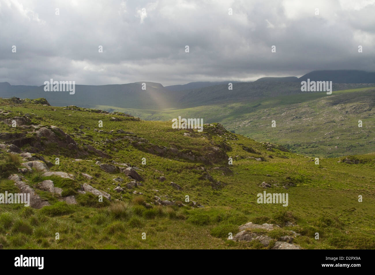 National park, Killarney National Park, Killarney, County Kerry ...