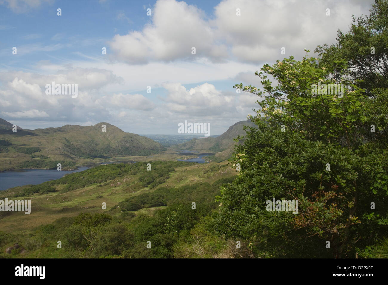 High angle view of a national park, Killarney National Park, Killarney ...