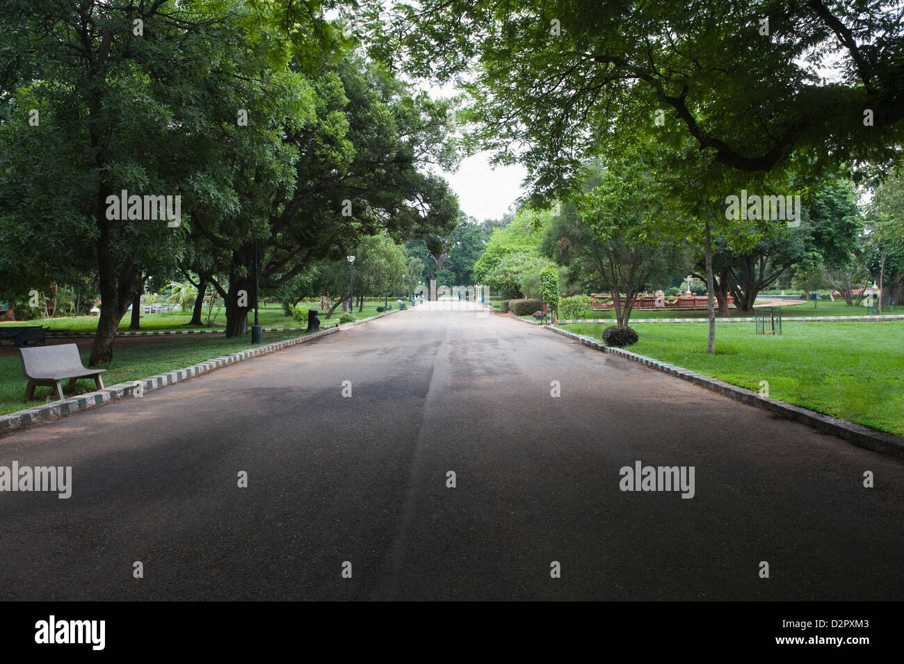 Trees along the road, Lal Bagh Botanical Garden, Bangalore, Karnataka ...