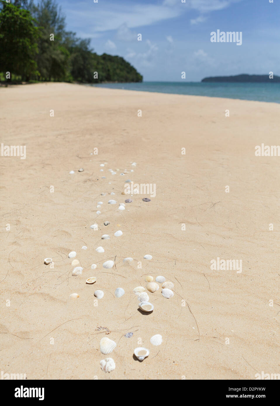 Seashells on Bamboo Island, Sihanoukville, Cambodia, Indochina ...